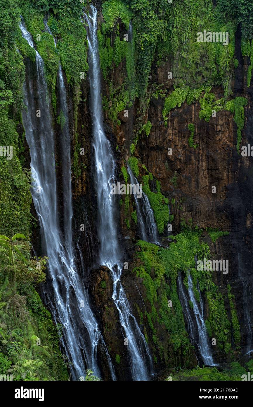 A scenic view of waterfalls in the forest in Lumajang, East Java Stock ...
