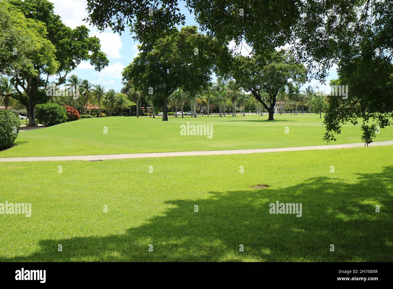 Open park space Stock Photo - Alamy