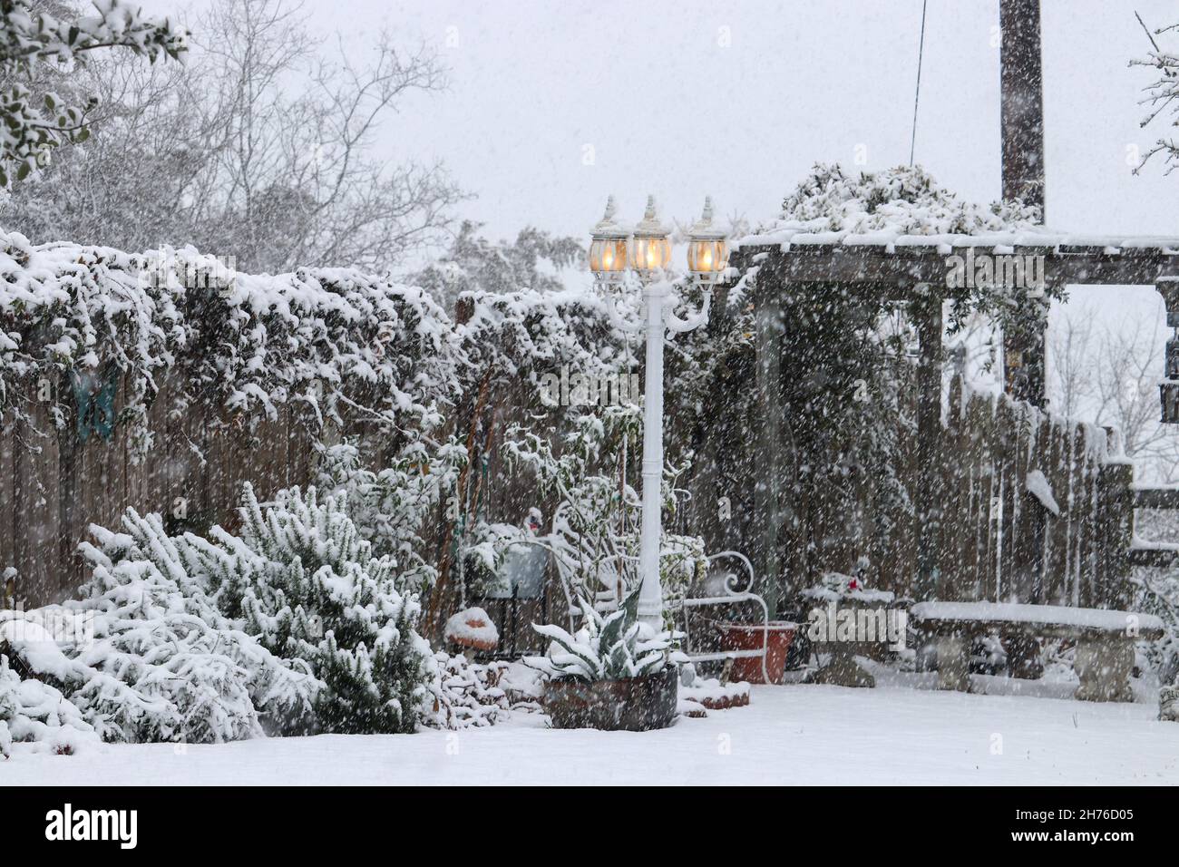 Snow-covered garden with a glowing street lamp winter storm in Central ...