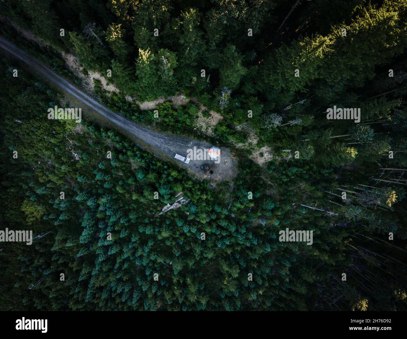 An aerial shot of a dead-end path in the middle of a green forest Stock ...