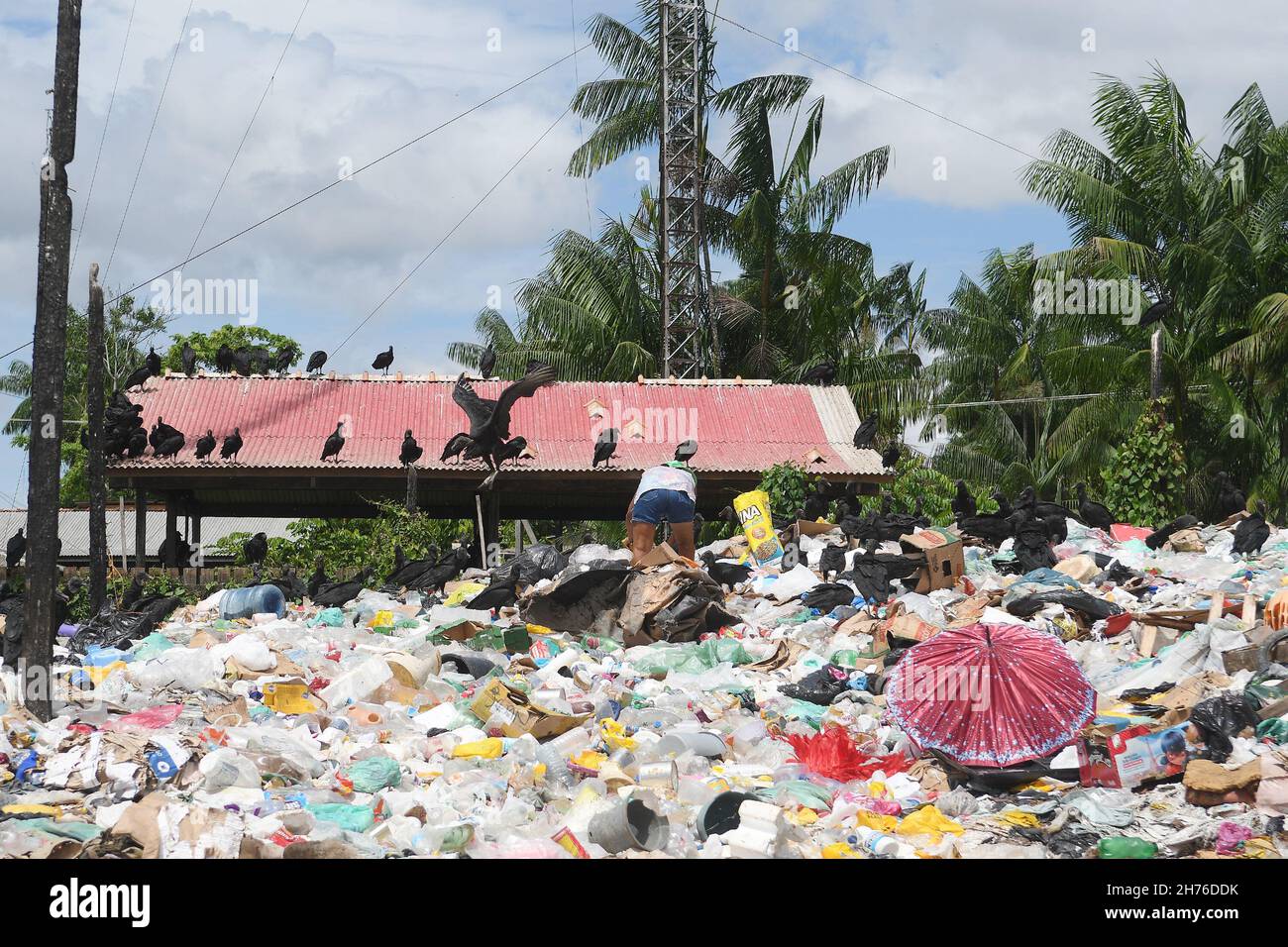 Afuá,Brazil,November 11, 2021. Open-air dump of the city of Afuá, on ...