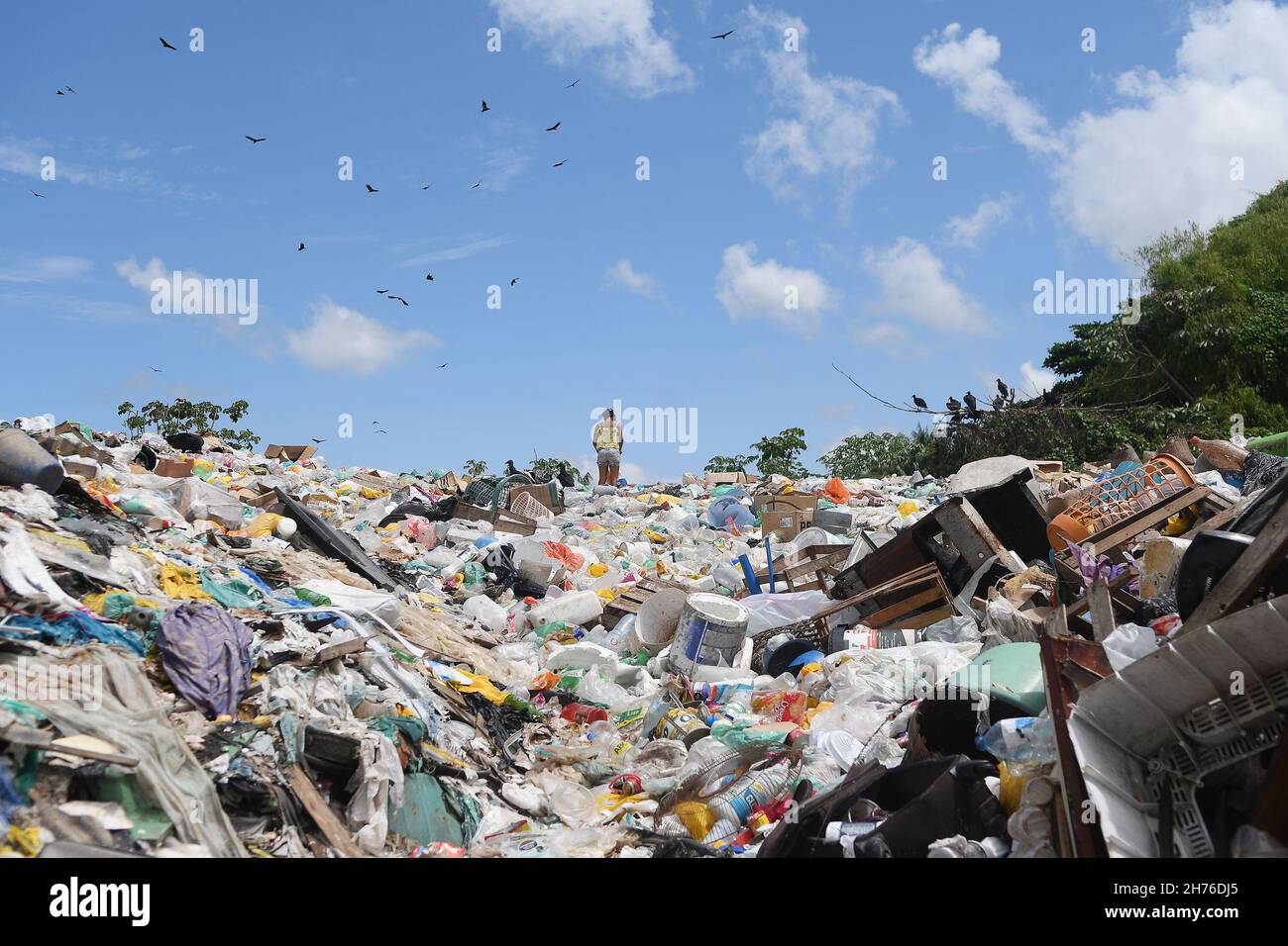 Afuá,Brazil,November 11, 2021. Open-air dump of the city of Afuá, on ...