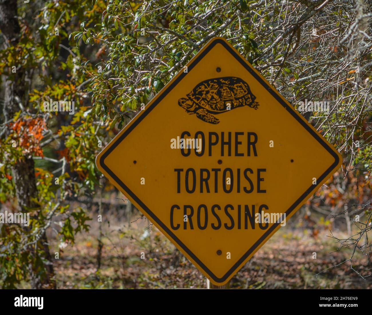 Gopher Tortoise Crossing Sign at a wildlife refuge in Georgia Stock ...