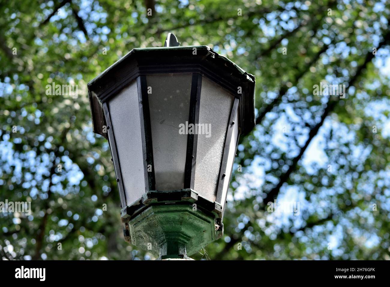 A vintage-looking street lamp in front of a tree Stock Photo - Alamy