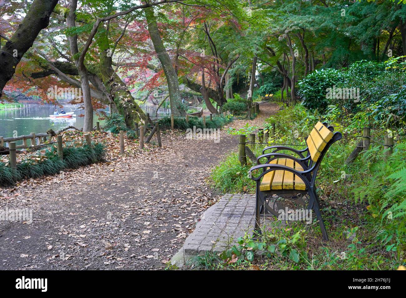 Inokashira Koen (park) during autumn. In Kichijoji, Tokyo, Japan Stock ...