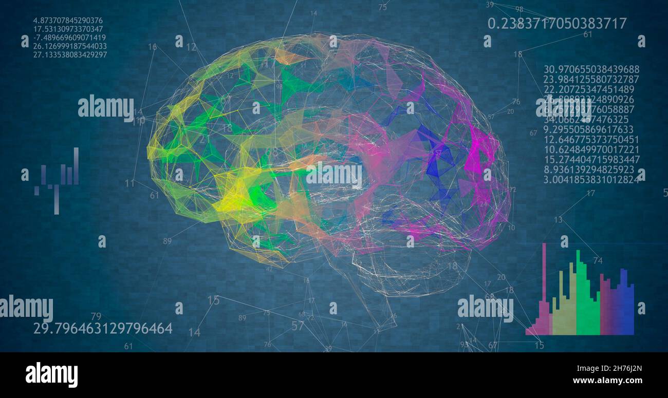 Rotating 360 low polygonal brain 3D model on blue background with ...