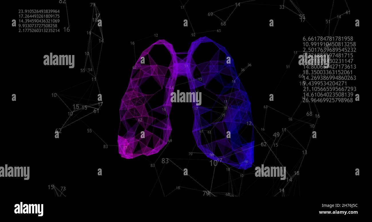 Rotating 360 low polygonal lungs 3D model on black background with ...