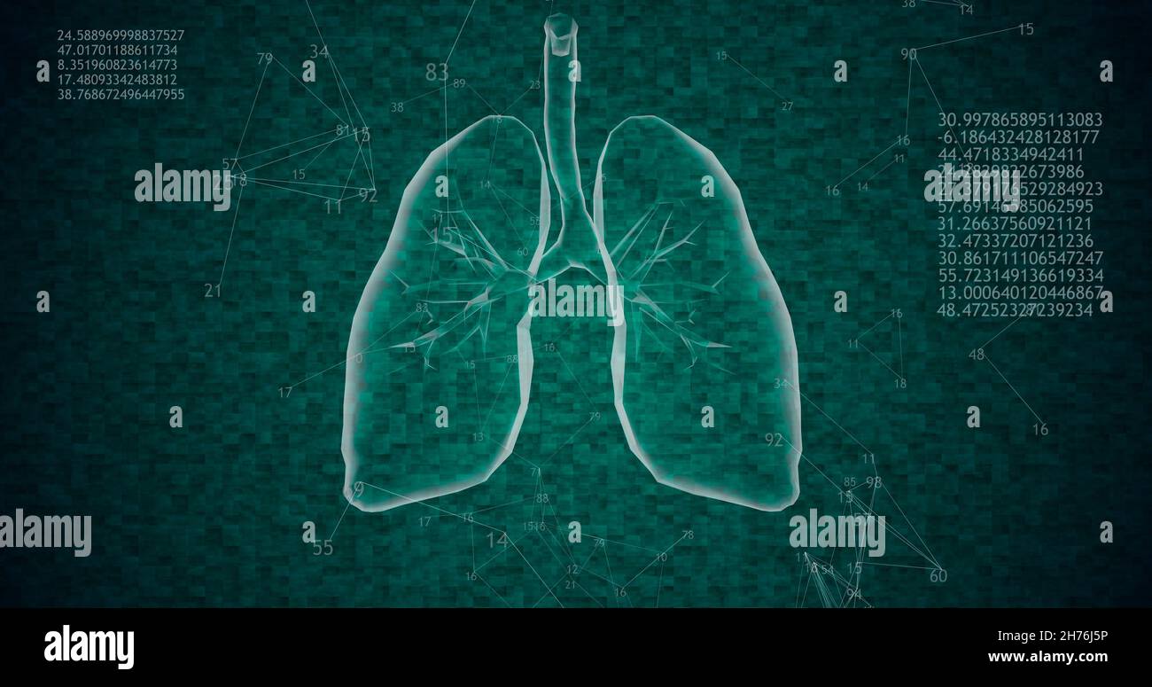Rotating 360 low polygonal lungs 3D model with coronavirus cells and ...