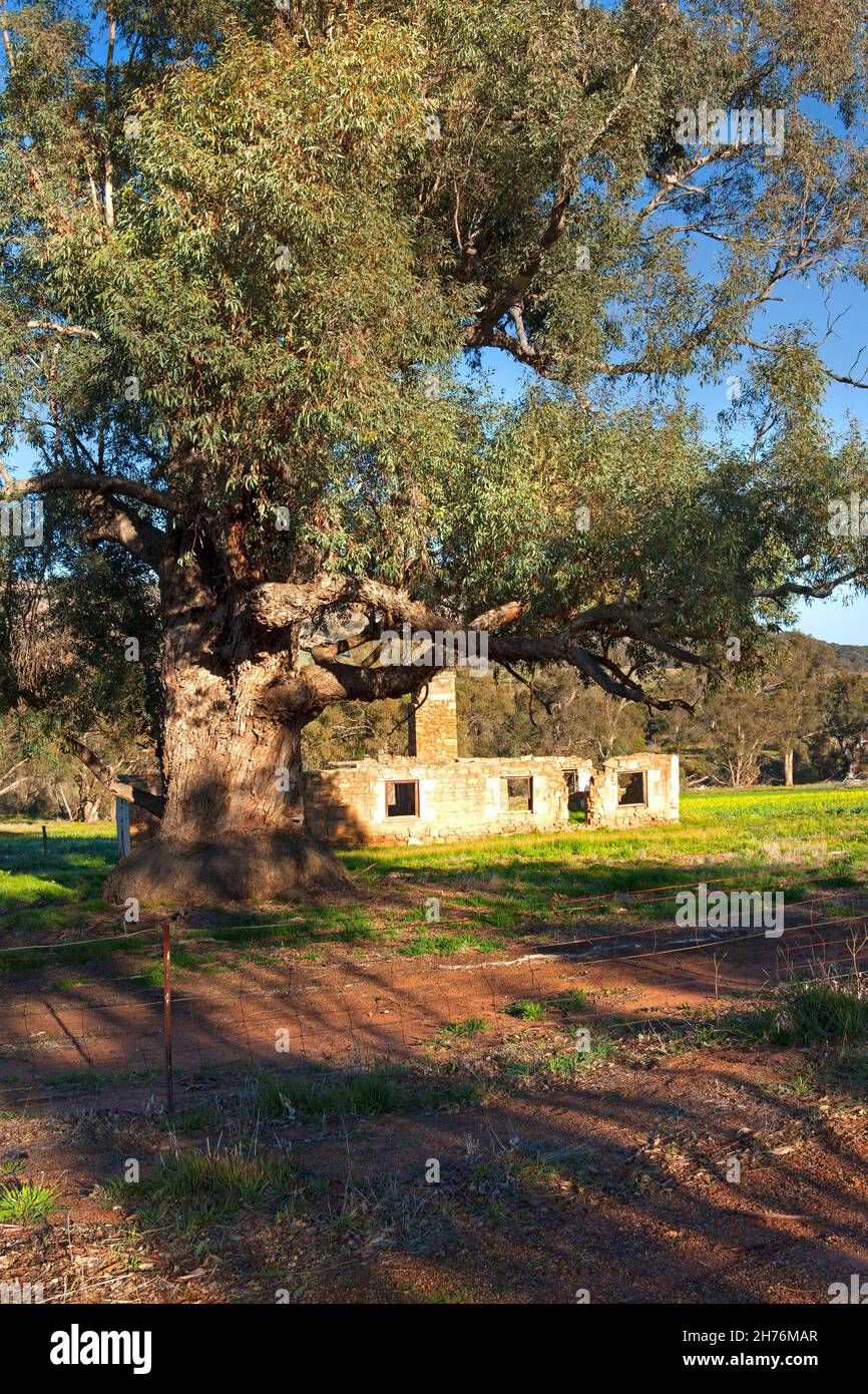 Homestead western australia hi-res stock photography and images - Alamy