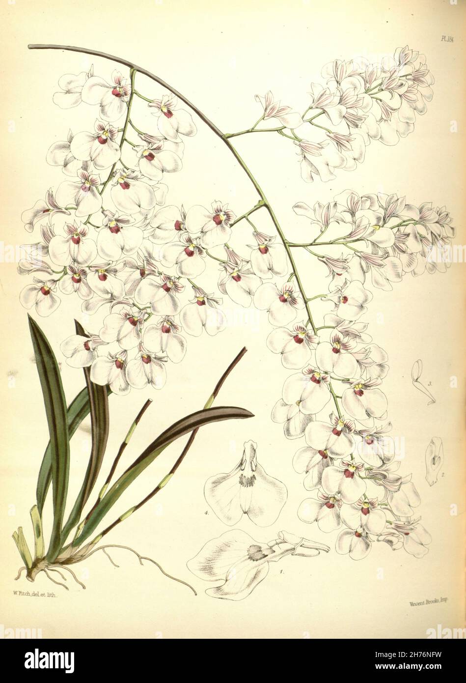 design, template, editorial, business, modern, creative, background ...