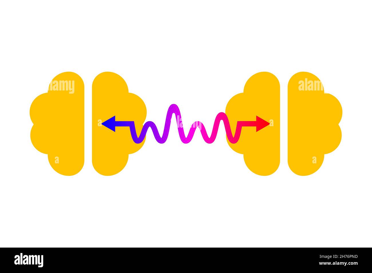 Two brains connecting Stock Vector Images - Alamy