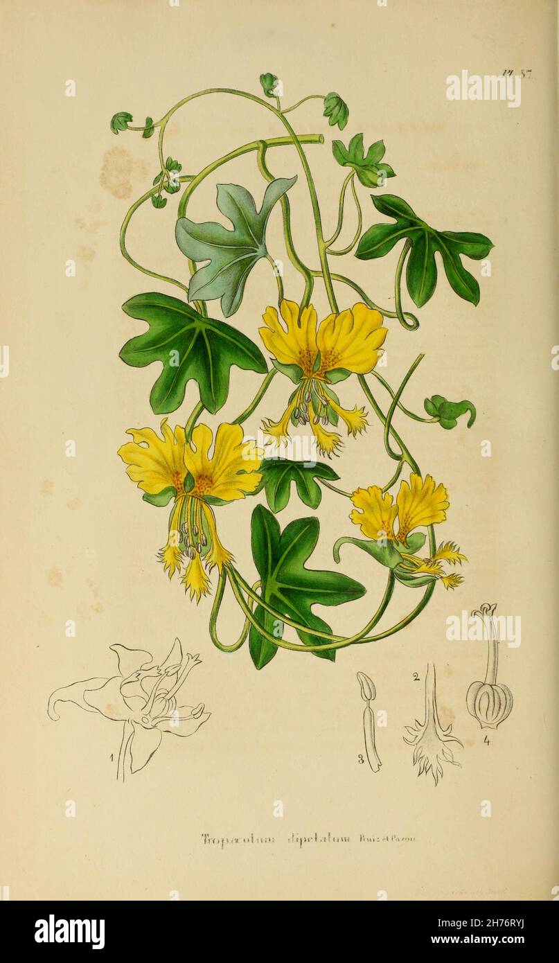 design, template, editorial, business, modern, creative, background ...