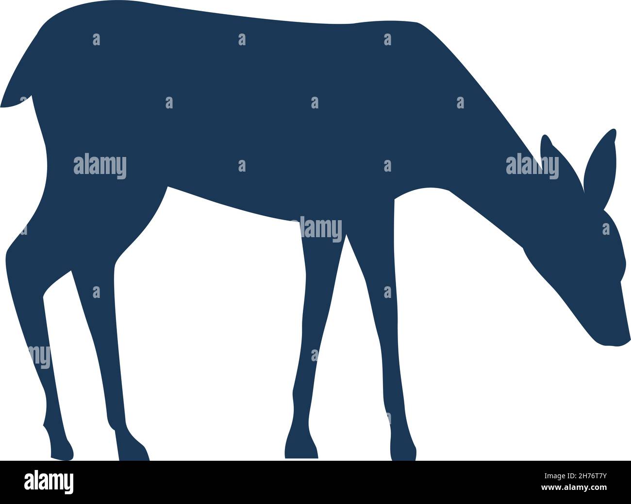 Young deer silhouette sketch Cut Out Stock Images & Pictures - Alamy