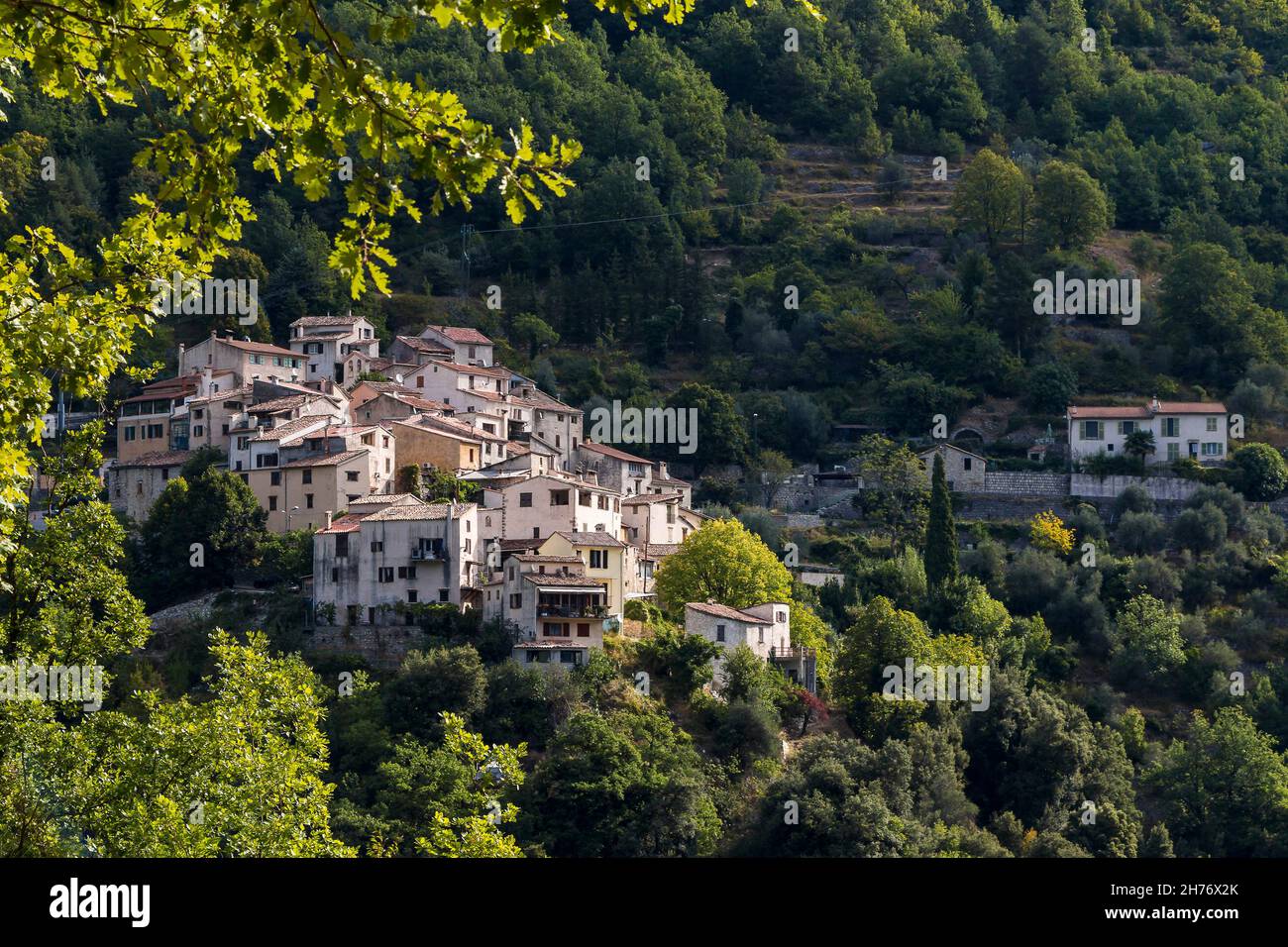 ALPES-MARITIMES (06), REGIONAL NATURAL PARK OF PREALPES D'AZUR, SIGALE ...