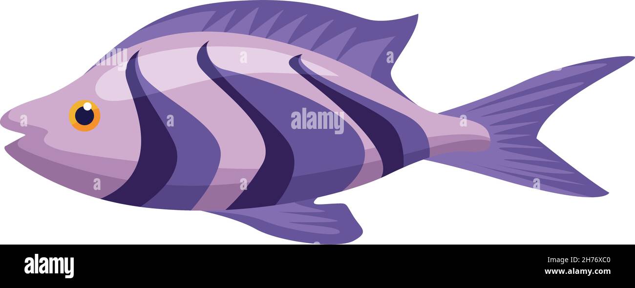 lilac exotic fish Stock Vector Image & Art - Alamy