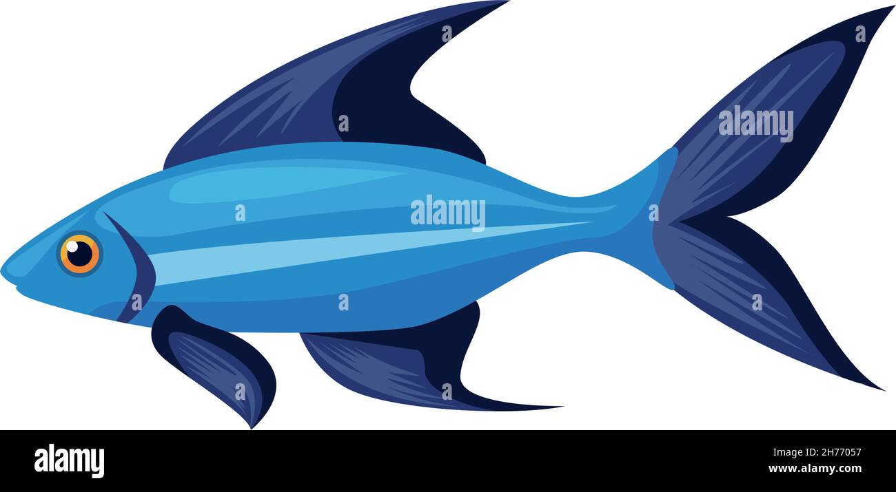 Parrotfish illustration hi-res stock photography and images - Alamy