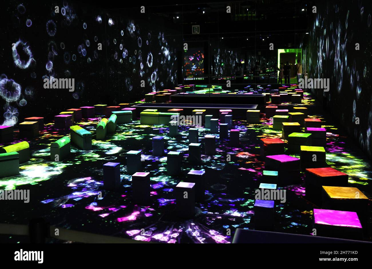 Tokyo, Japan. 19th Nov, 2021. Visionary art installation created by ...