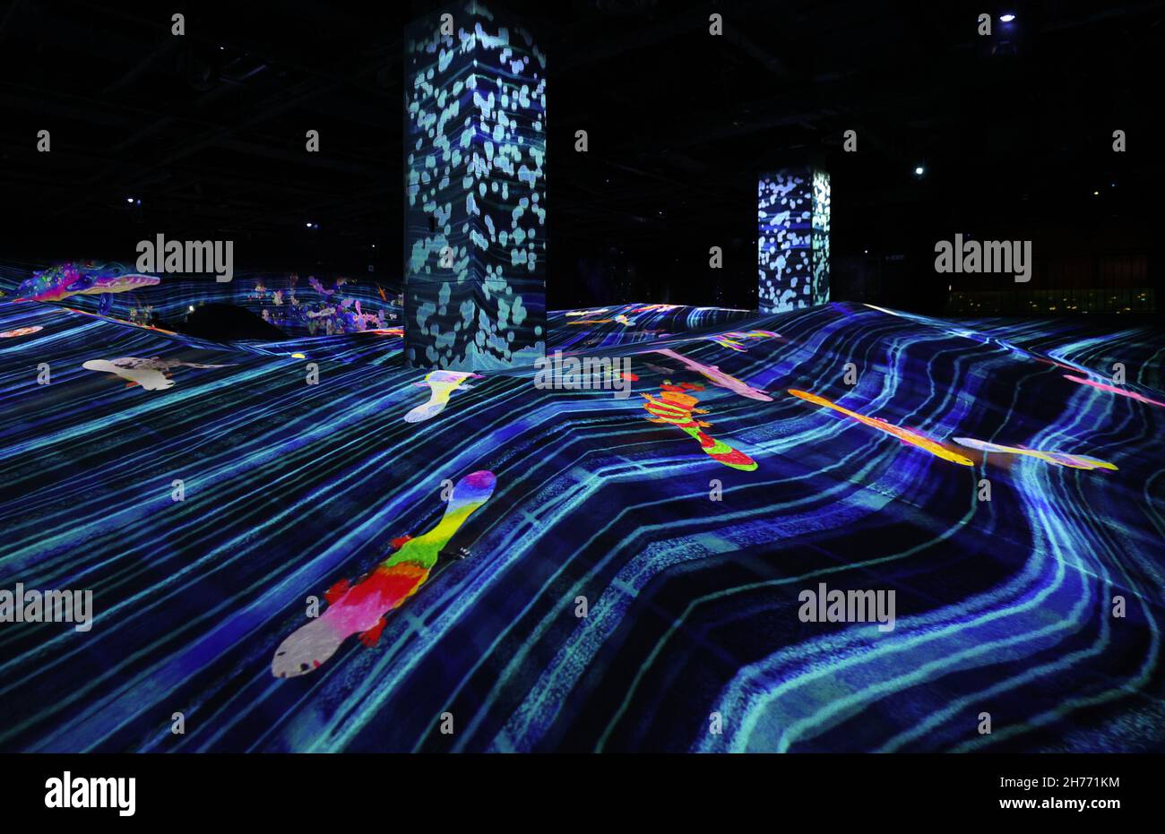 Tokyo, Japan. 19th Nov, 2021. Visionary art installation created by ...