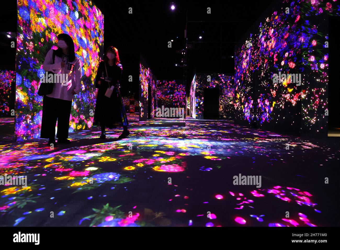 Tokyo, Japan. 19th Nov, 2021. Visionary art installation created by ...