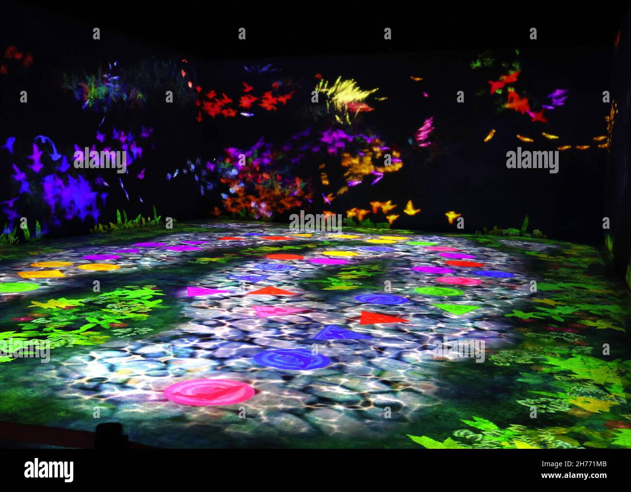 Tokyo, Japan. 19th Nov, 2021. Visionary art installation created by ...