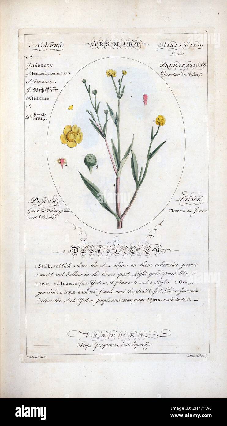 design, template, editorial, business, modern, creative, background ...