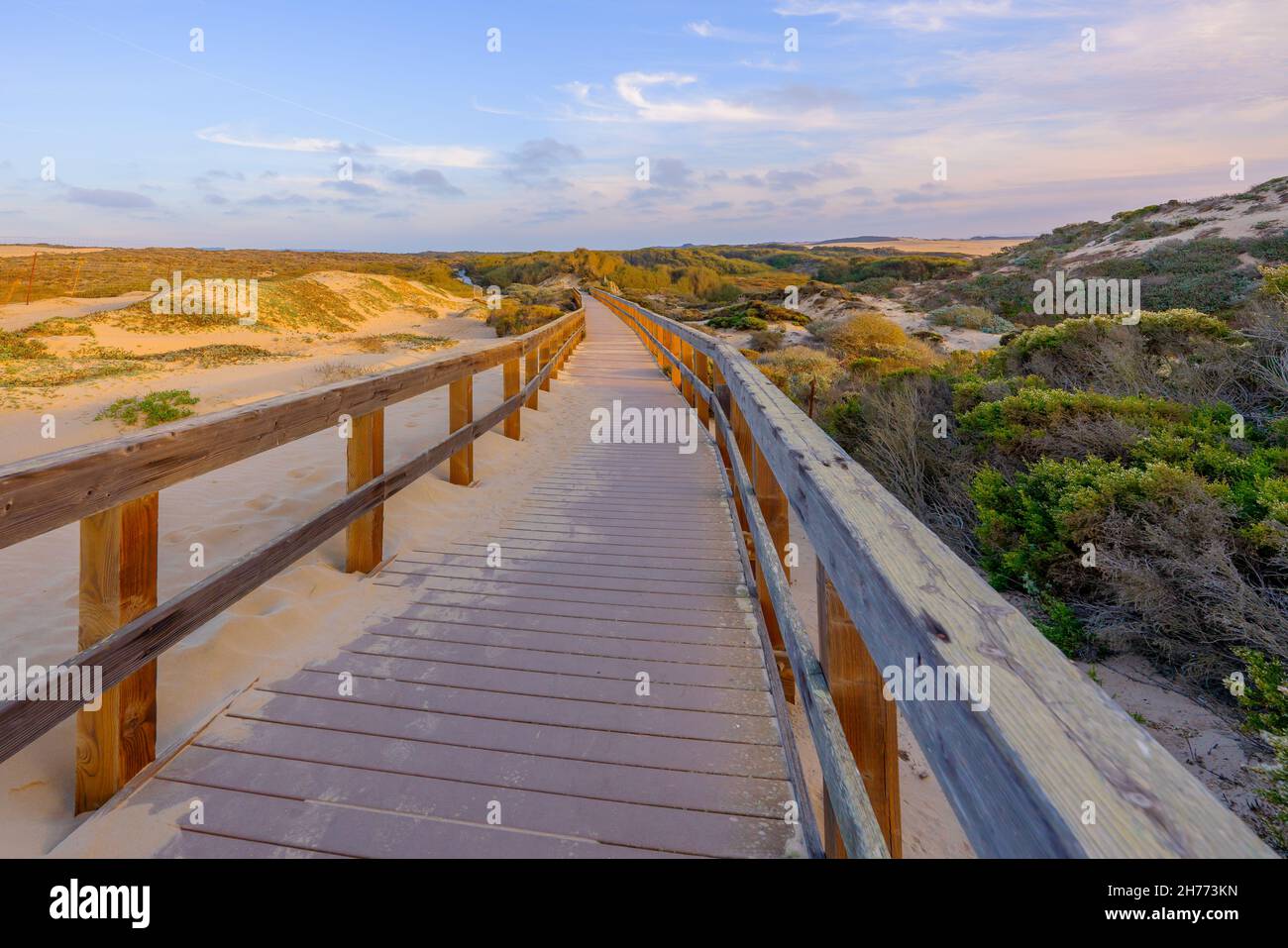 Rustic wooden beach boardwalk through sand dunes leading to the beach ...