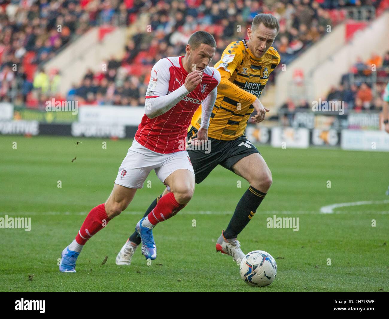 Adam wiles hi-res stock photography and images - Alamy