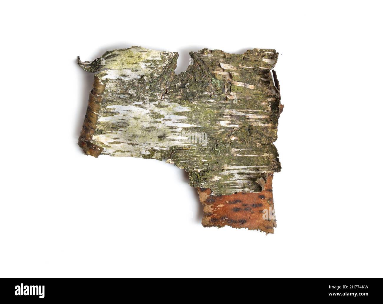 Aspen wood texture hi-res stock photography and images - Alamy