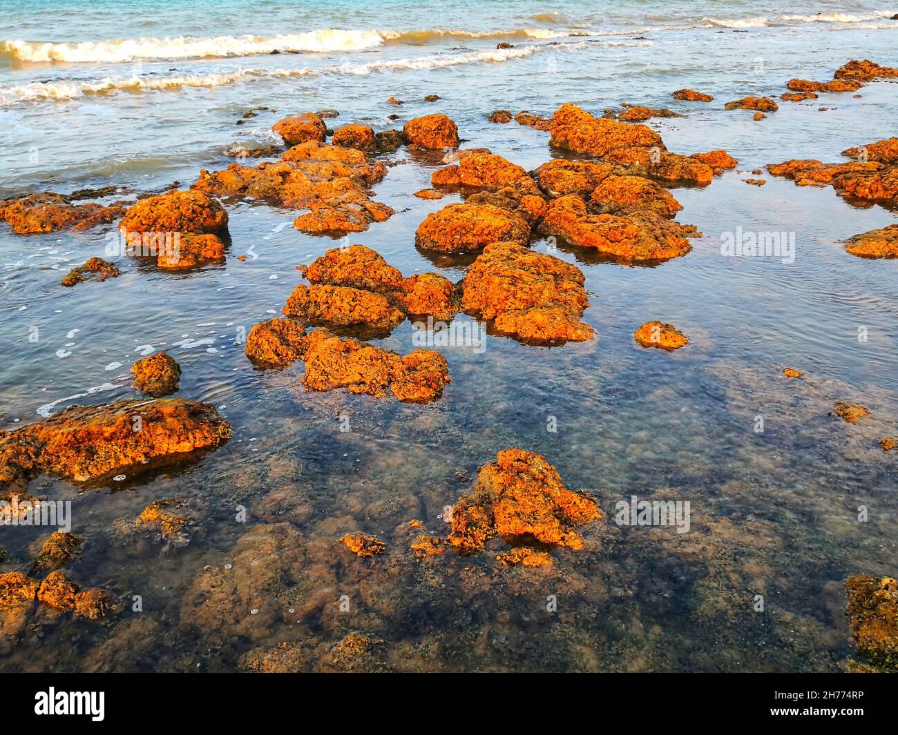 A scenery of coastal rocks with lichen Stock Photo - Alamy