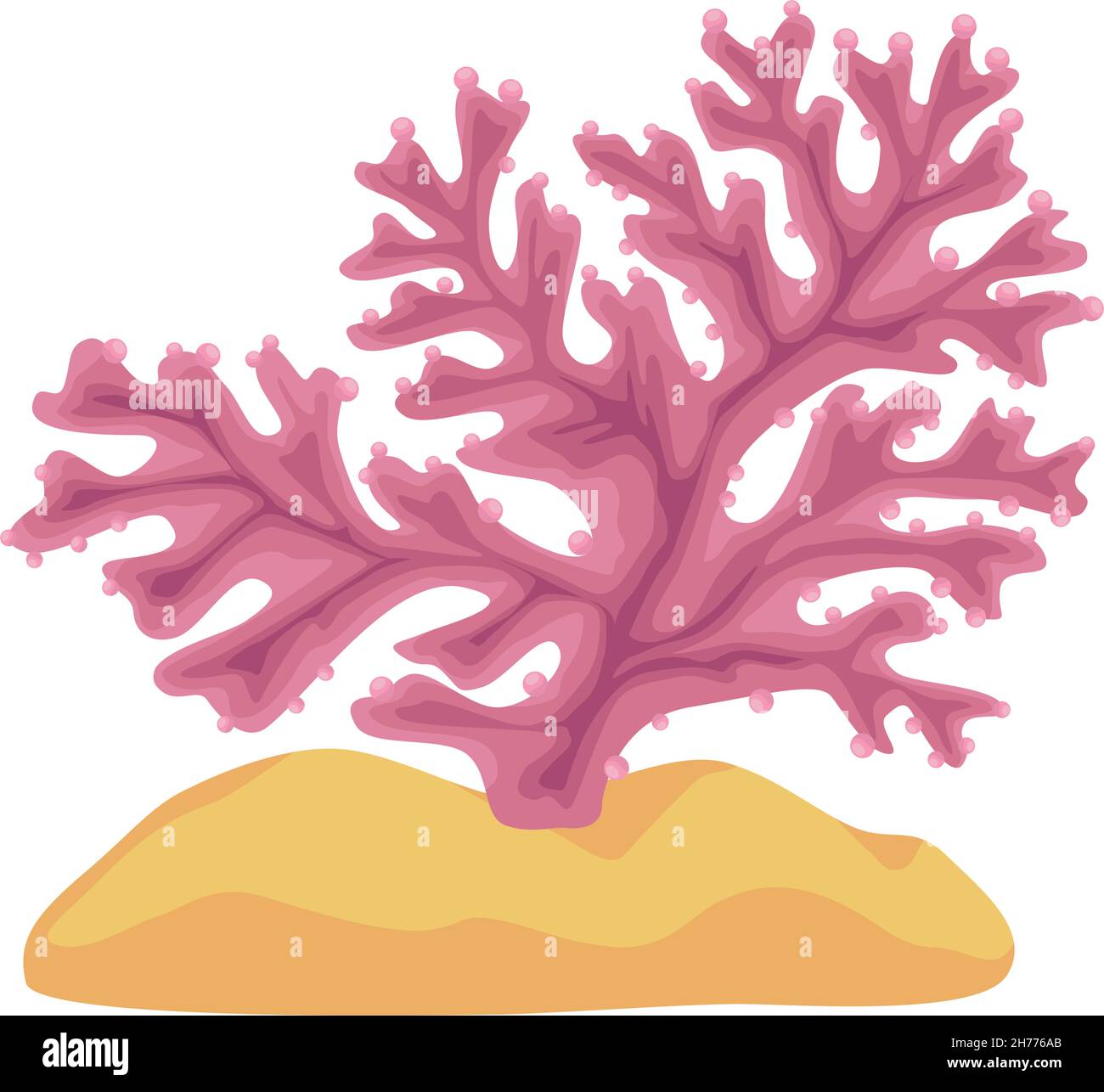 pink seaweed plant Stock Vector Image & Art - Alamy