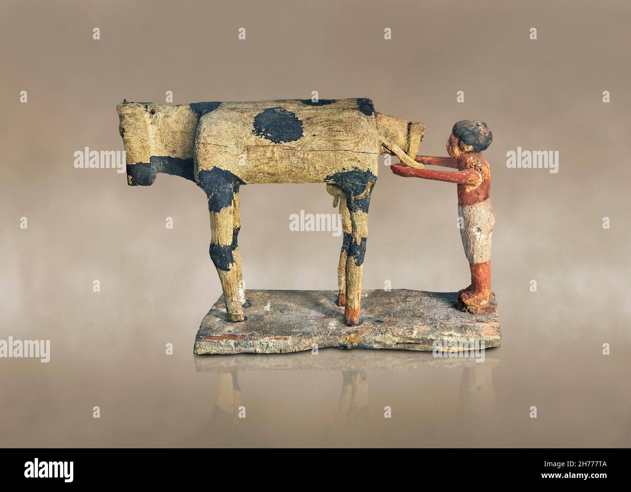 Wo cow hi-res stock photography and images - Alamy