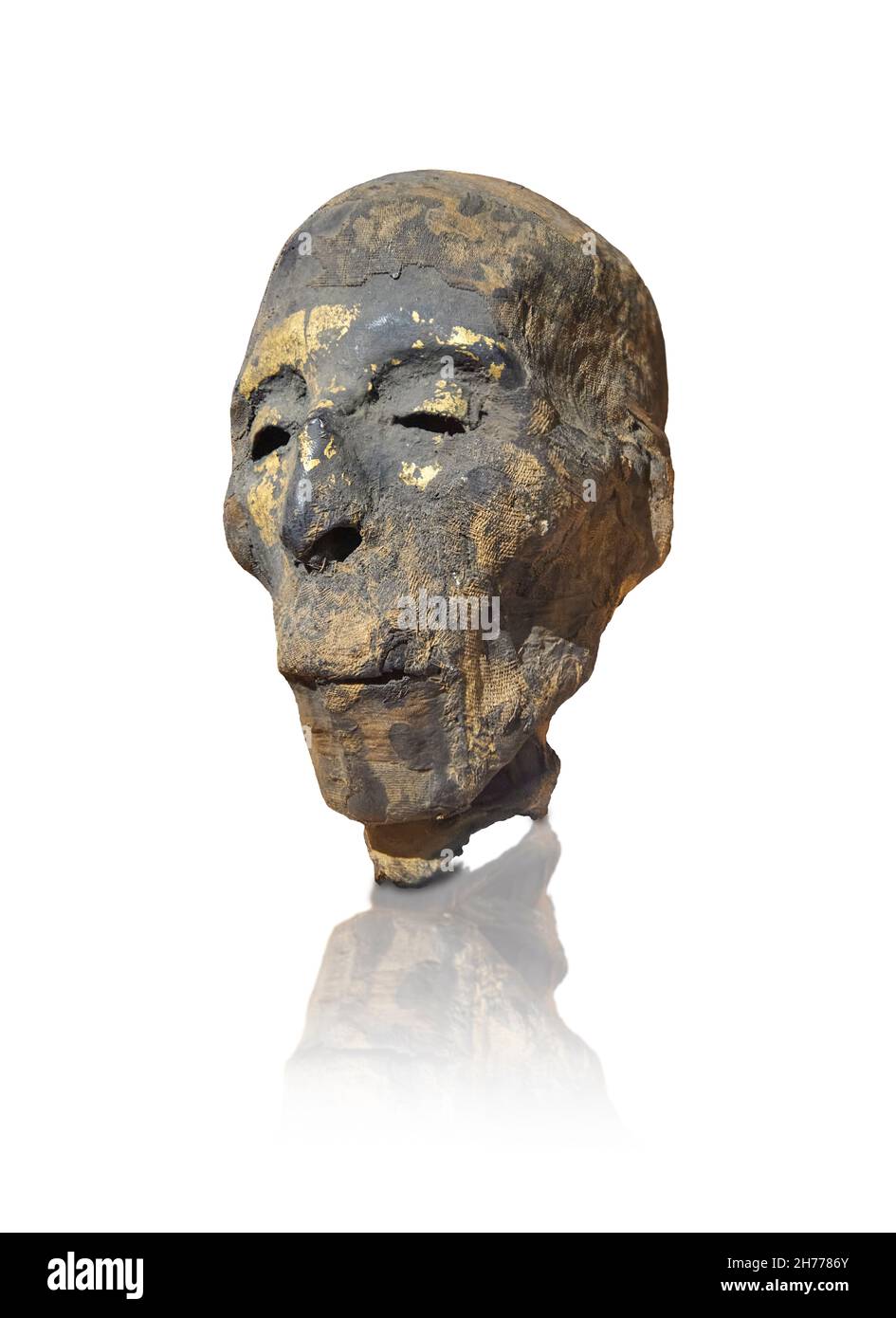 Beaux arts museum fine Cut Out Stock Images & Pictures - Alamy