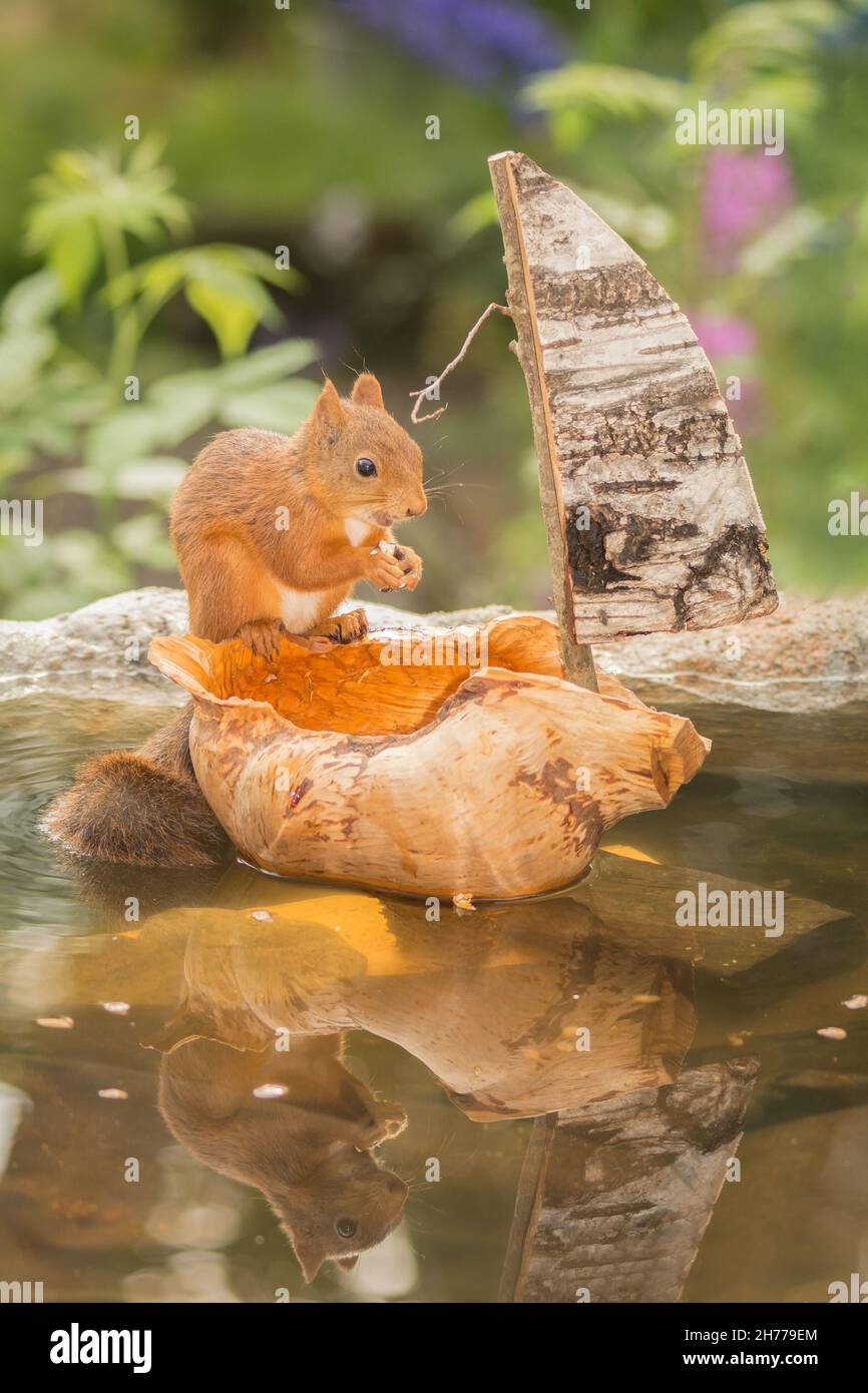 Sail ear hi-res stock photography and images - Alamy