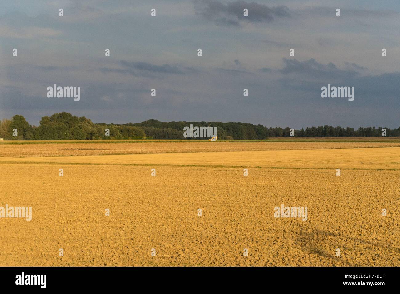 A beautiful field in Antwerp, Belgium Stock Photo - Alamy