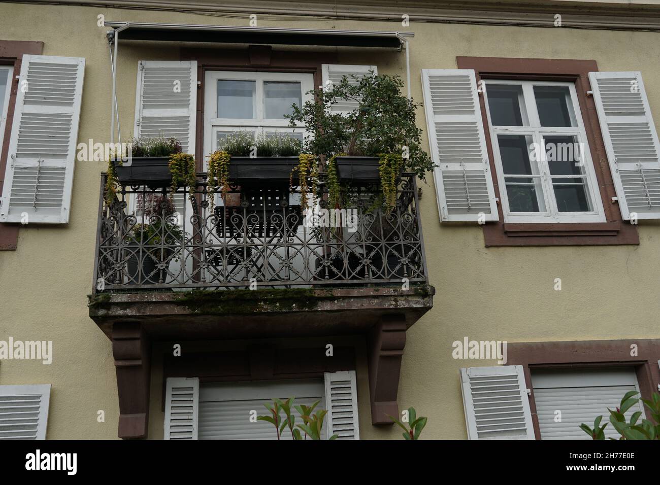 Old yellow house with balcony overgrown by moss with metal railings ...