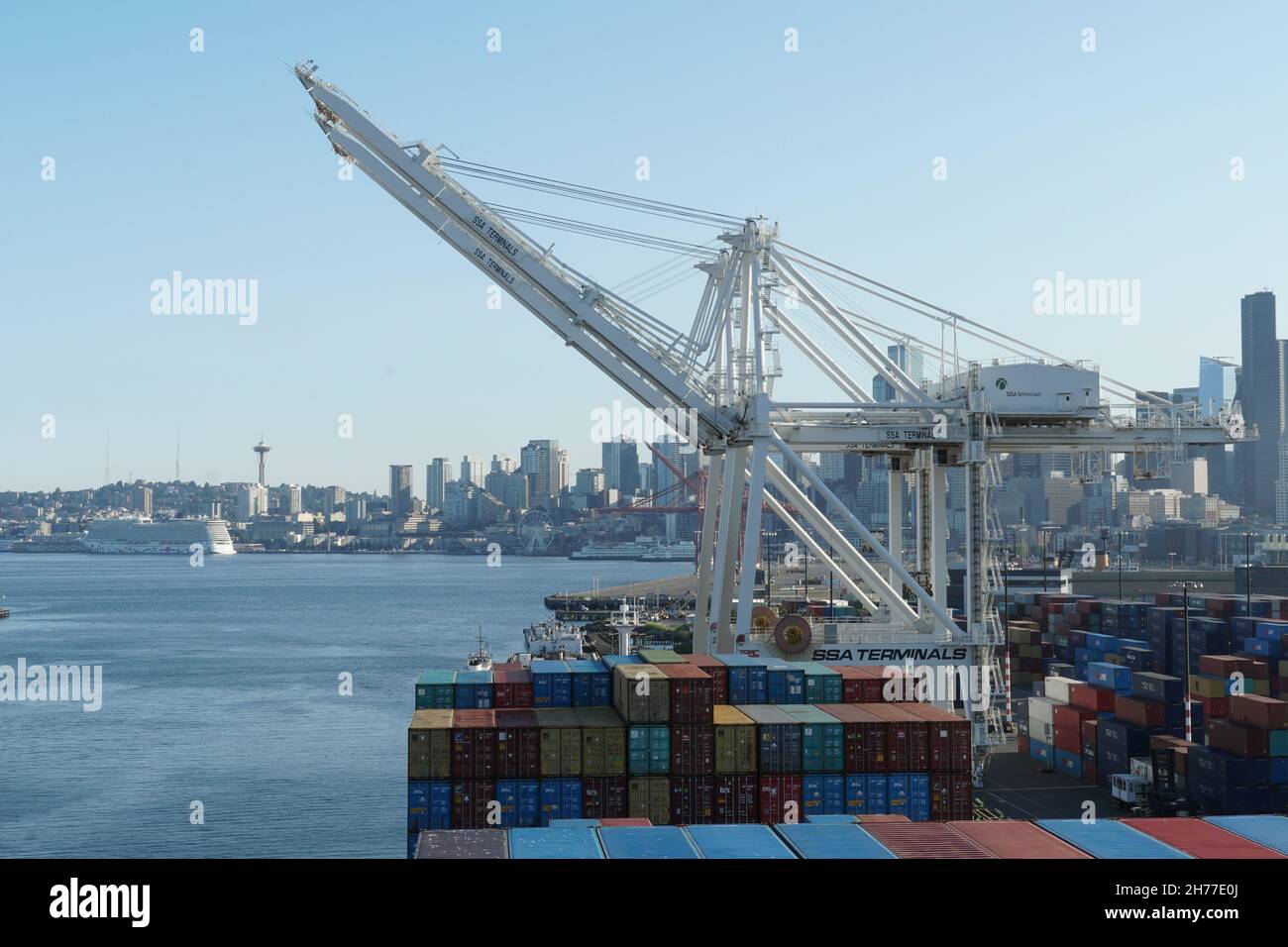 Merchant container ship moored in container SSA terminal to be load and ...