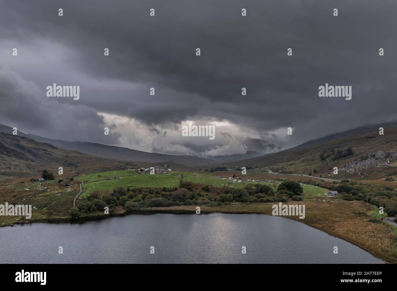 Flying birds snowdonia hi-res stock photography and images - Alamy