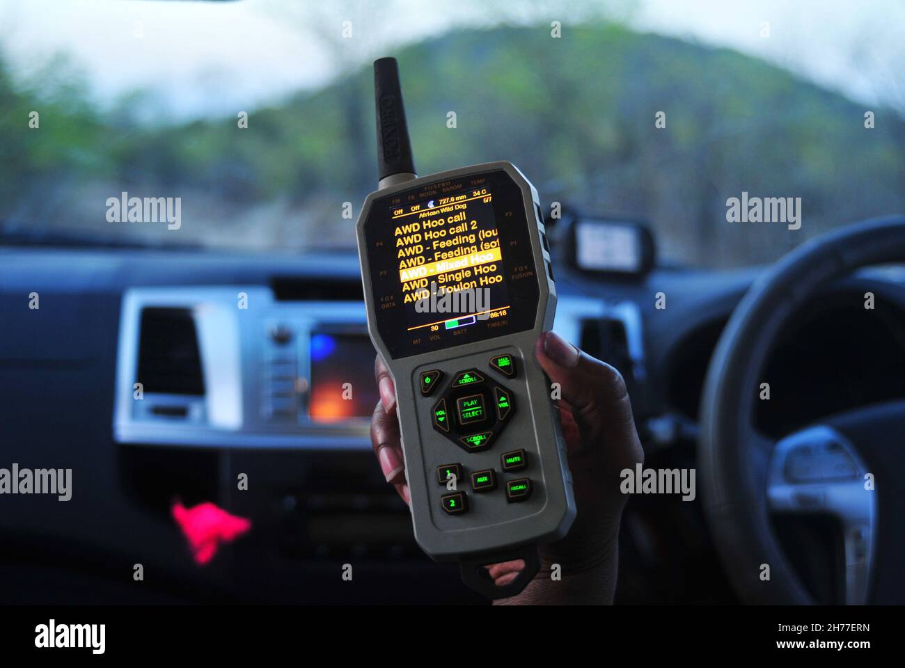 Game rangers in the Kruger National Park are working to protect the ...