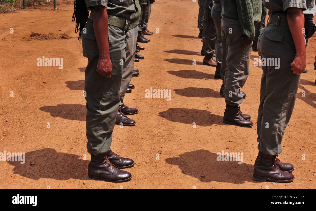 Game rangers in the Kruger National Park are working to protect the ...