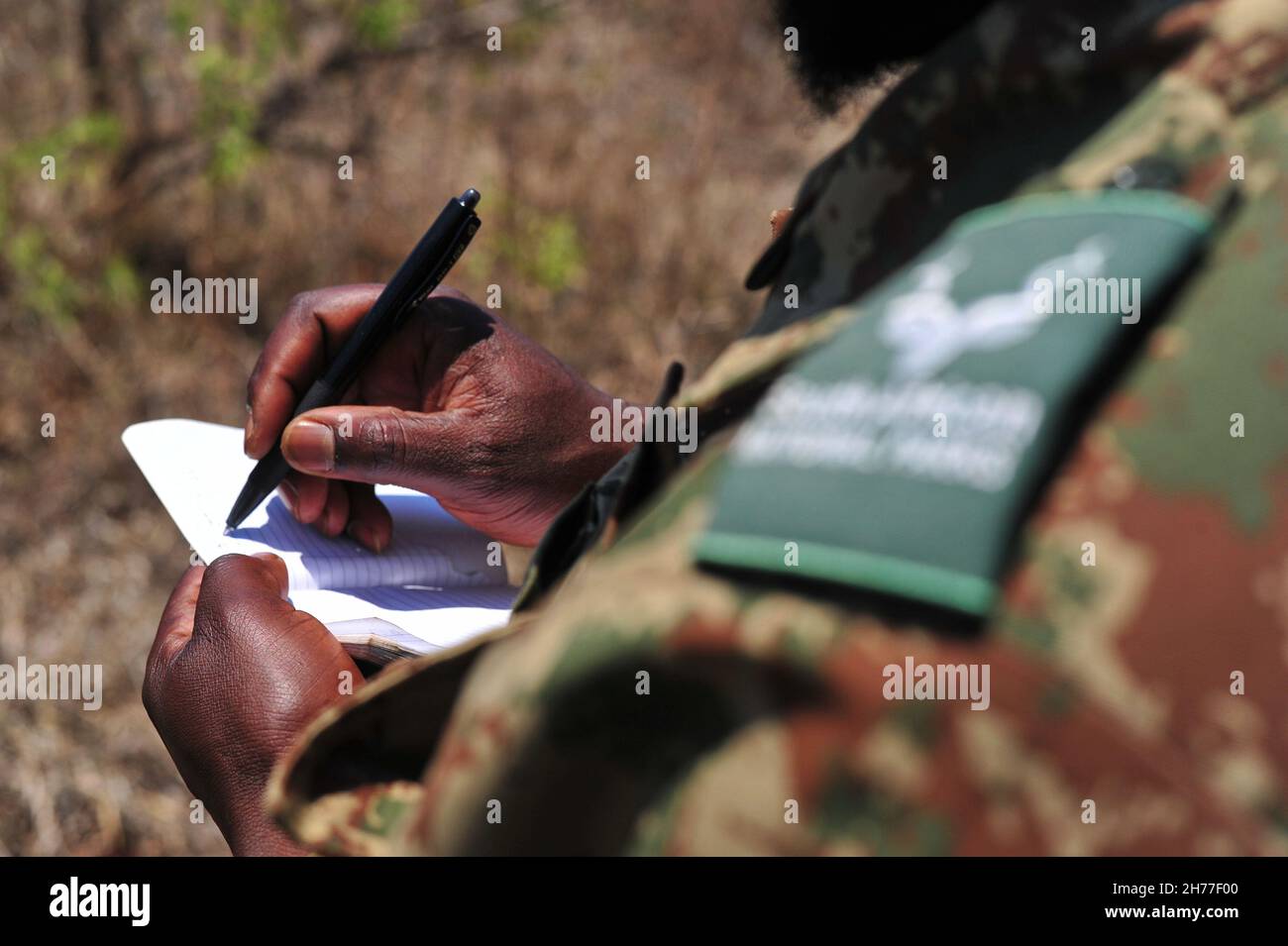 Game rangers in the Kruger National Park are working to protect the ...