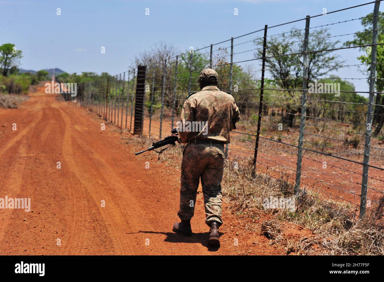 Game rangers in the Kruger National Park are working to protect the ...