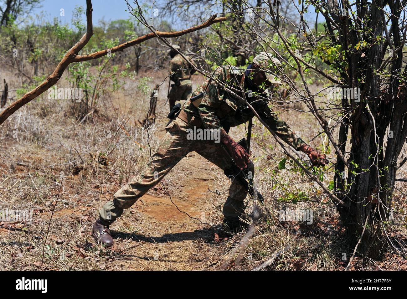 Game rangers in the Kruger National Park are working to protect the ...