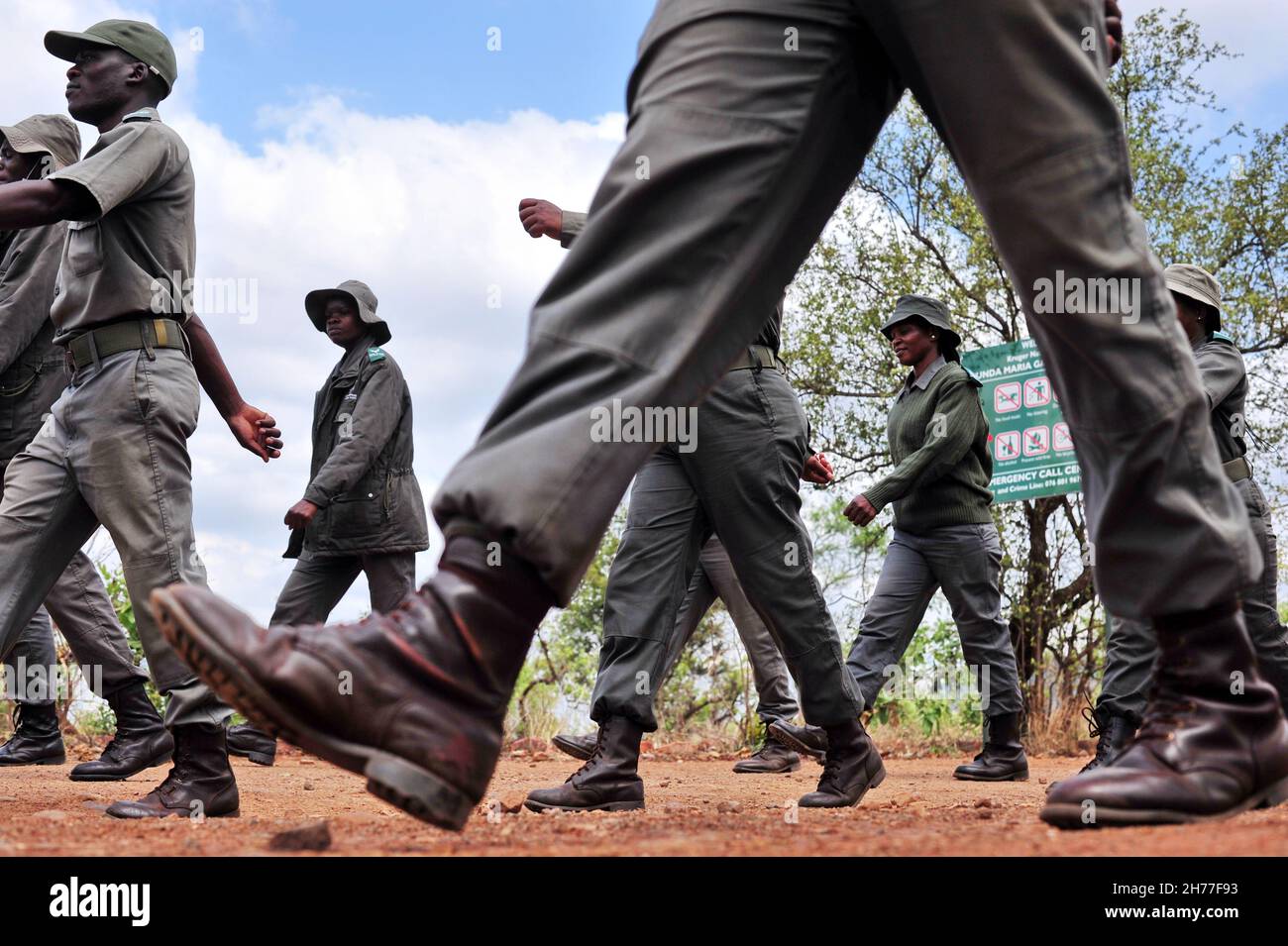 Game rangers in the Kruger National Park are working to protect the ...
