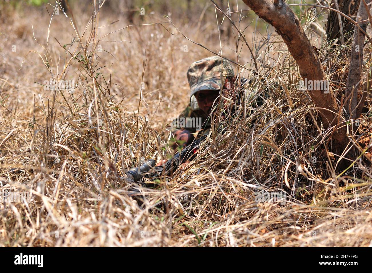 Game rangers in the Kruger National Park are working to protect the ...