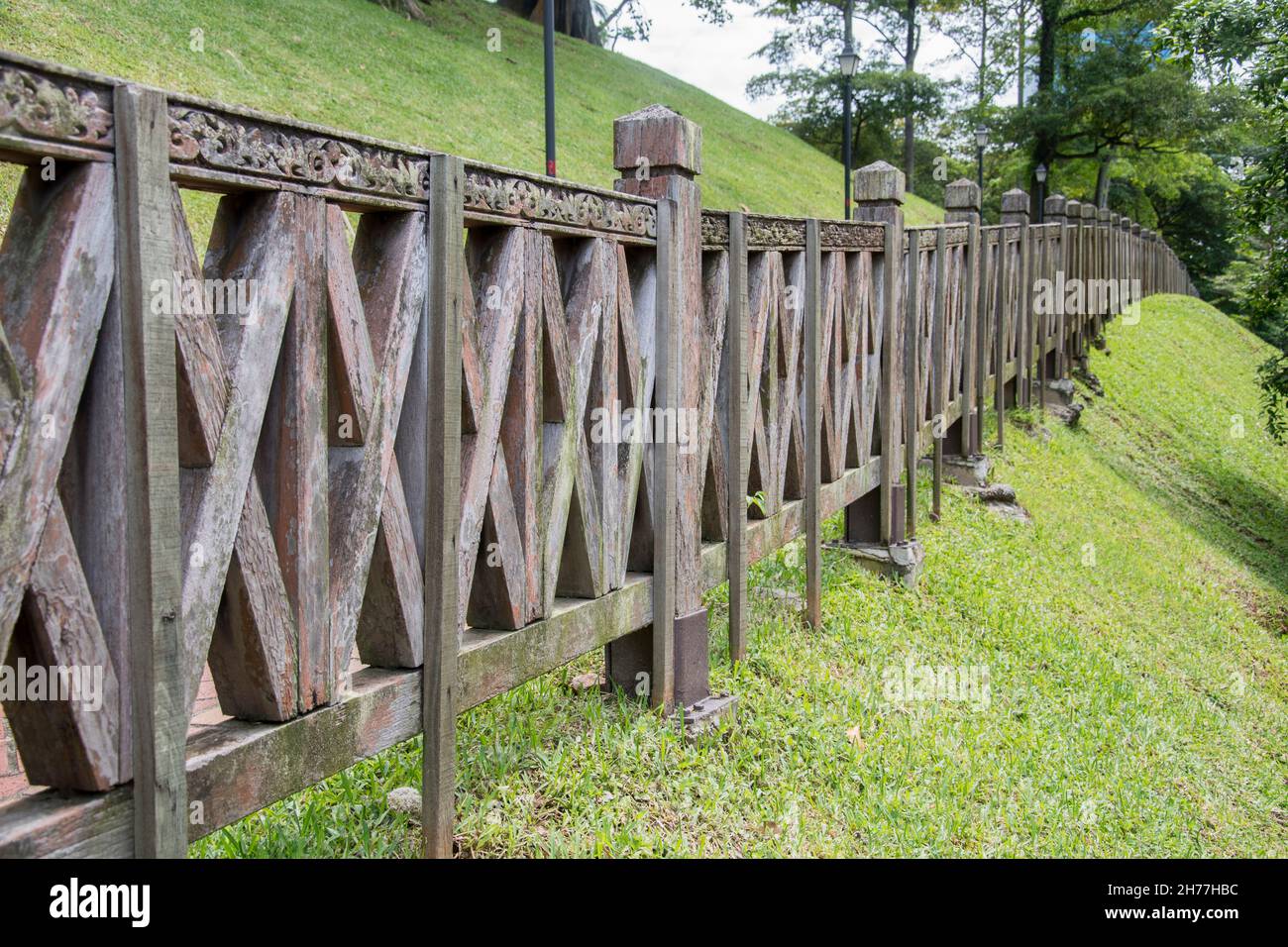 Front view of unique vintage wooden fence with vines or creepers with ...