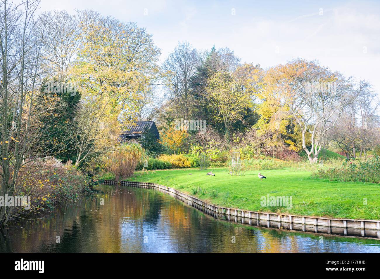 Scenic autumn view of rosarium in park Westbroekpark in the city of The ...