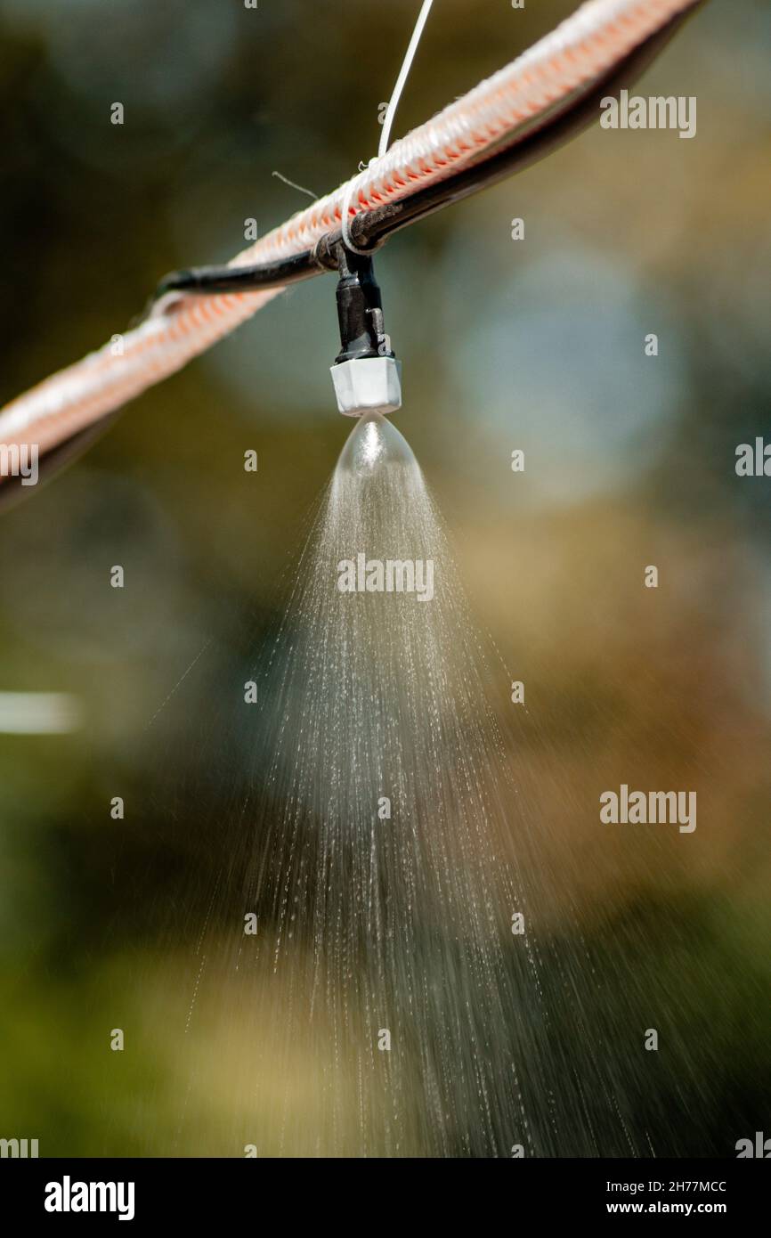 The vertical shot of a sprinkler system Stock Photo - Alamy