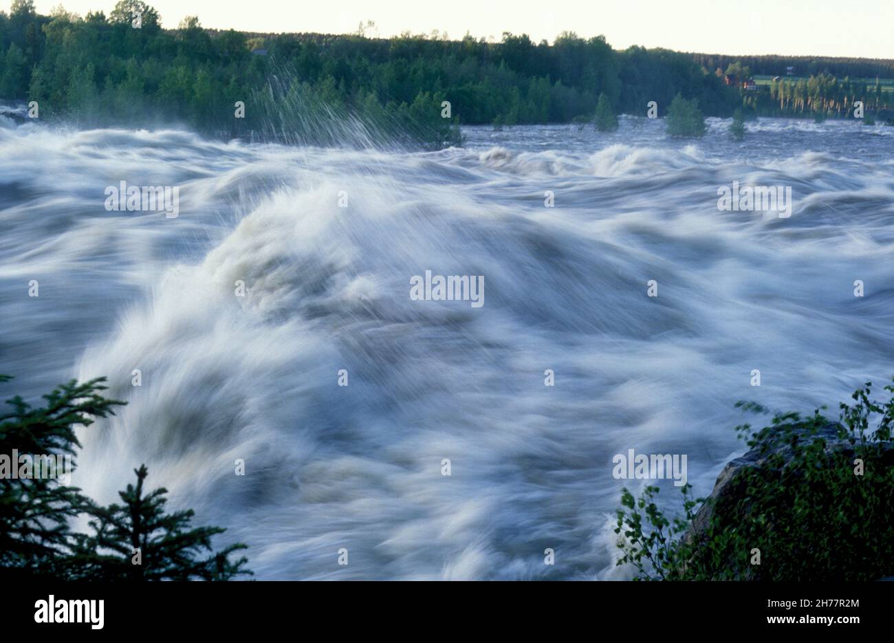 Dangerous River Rapids