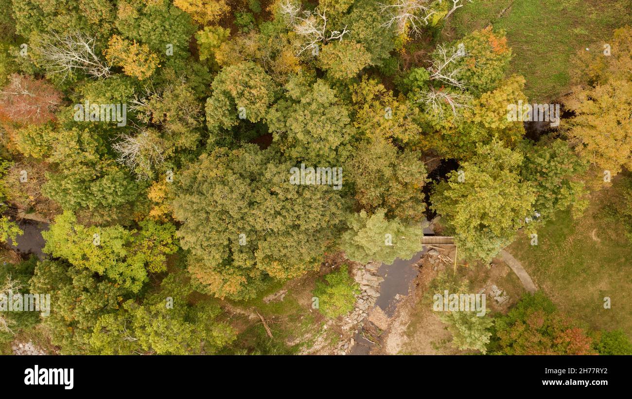 A top view of trees and bushes in a park in autumn in New York Stock ...