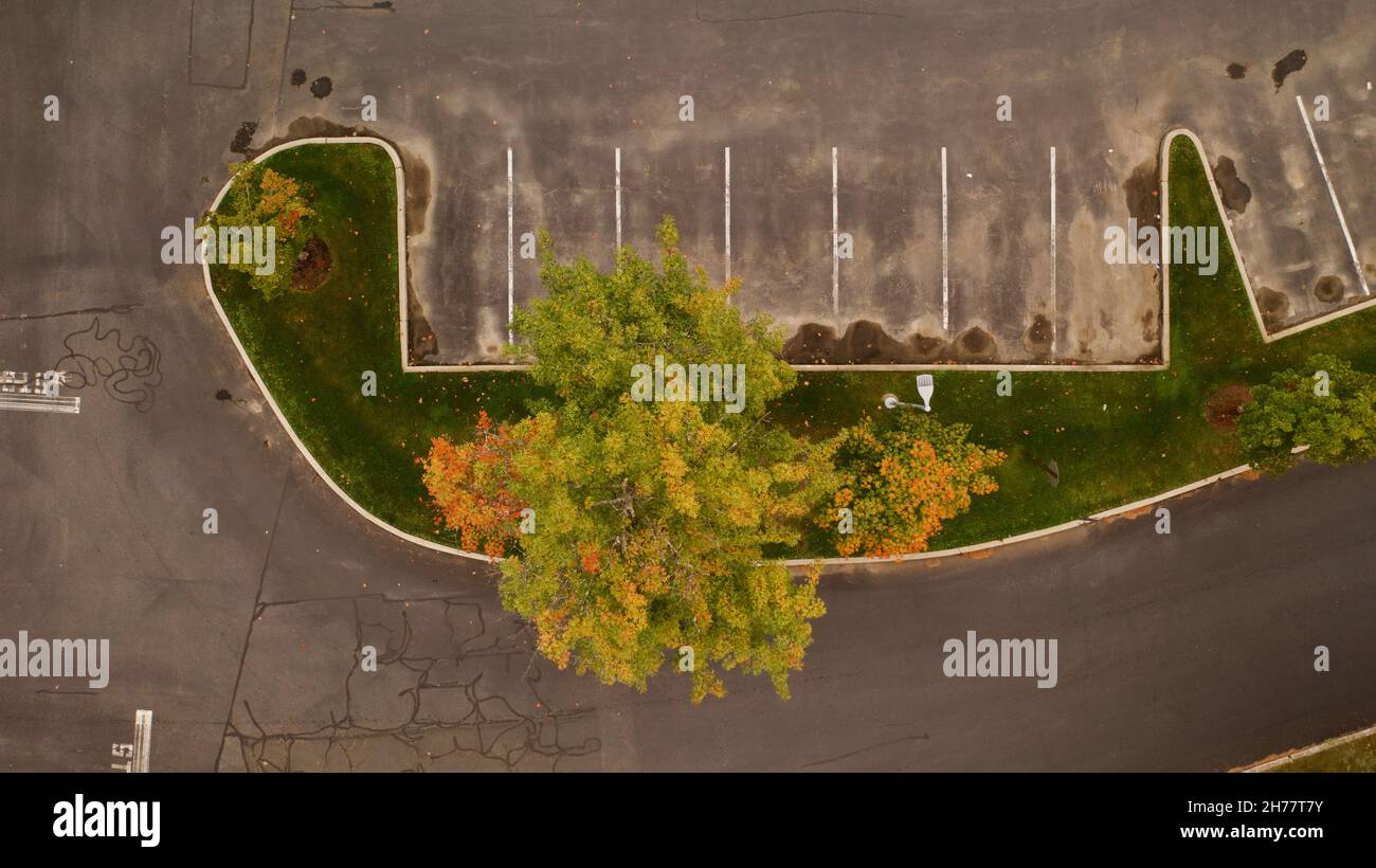 An aerial shot of a floral road median in a parking lot entrance in the ...